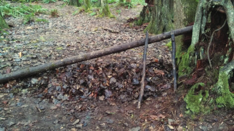 How to Build a Survival Shelter: A Step-by-Step Guide - Grit